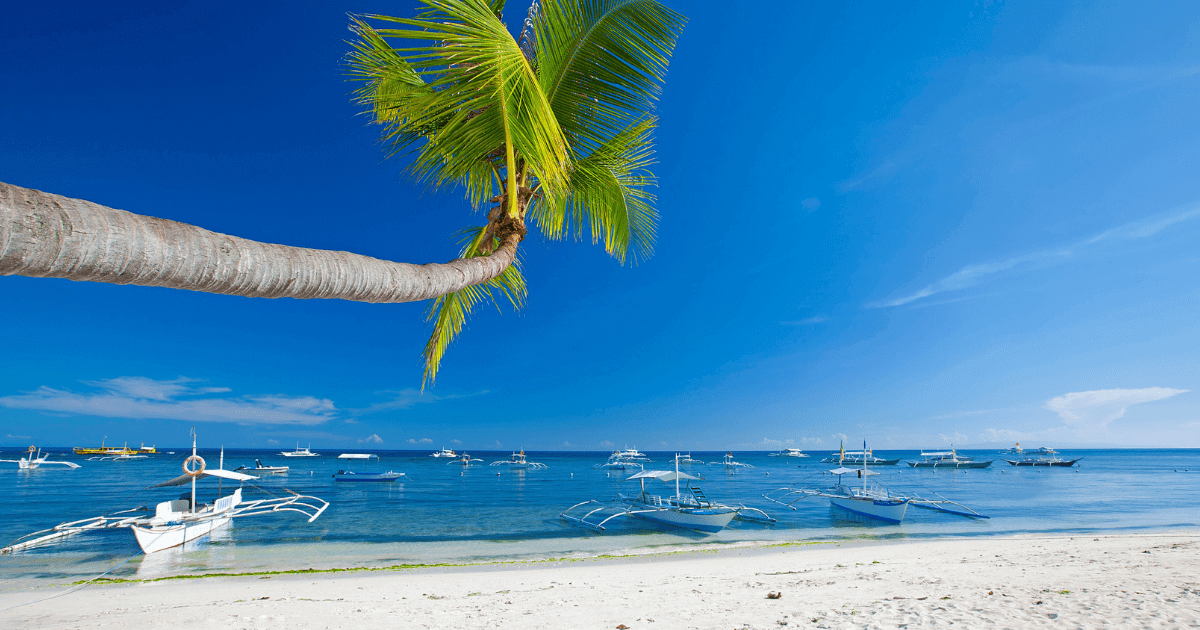 How To Go To Bohol: A Travel Guide